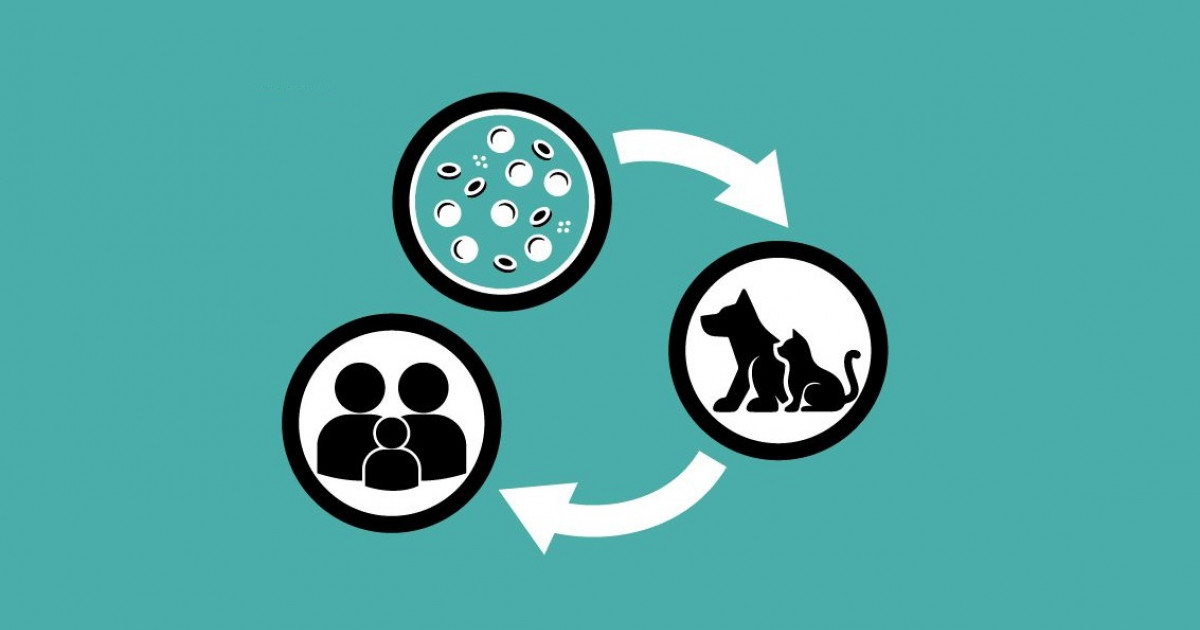 Zoonosis: Explicación para niños | Actualizado 2023