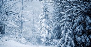 Invierno: Explicación para niños - ¡A aprender!
