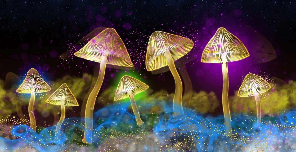 La bioluminiscencia: Explicación para niños - ¡A aprender!